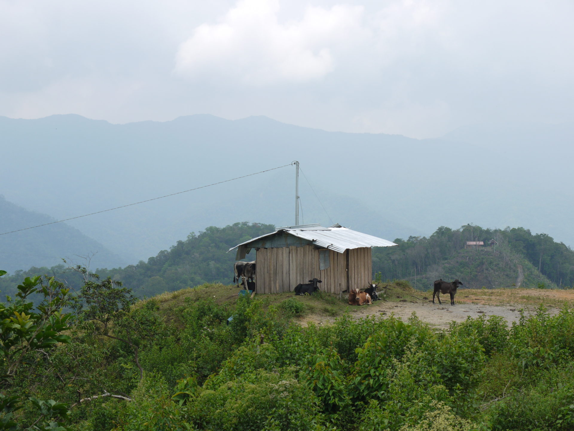 Fiscalía, nuevamente mal parada por deficiencias en investigación sobre ...